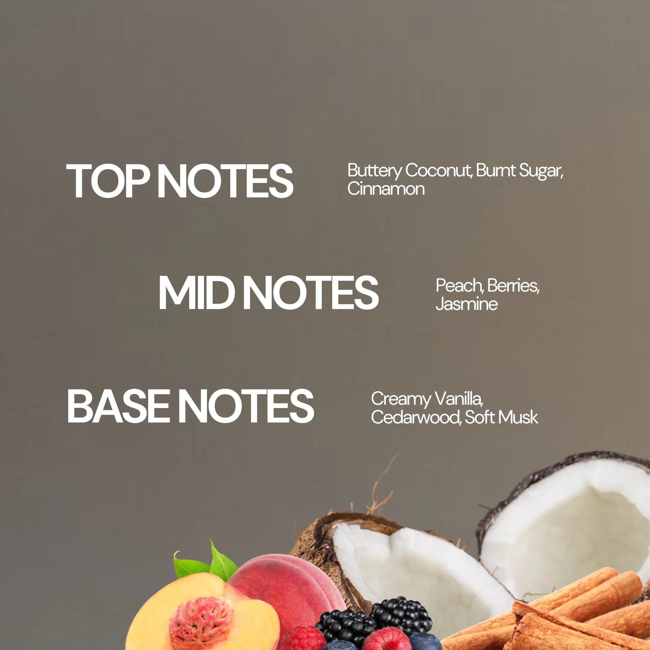 Coco Veil – Govertex